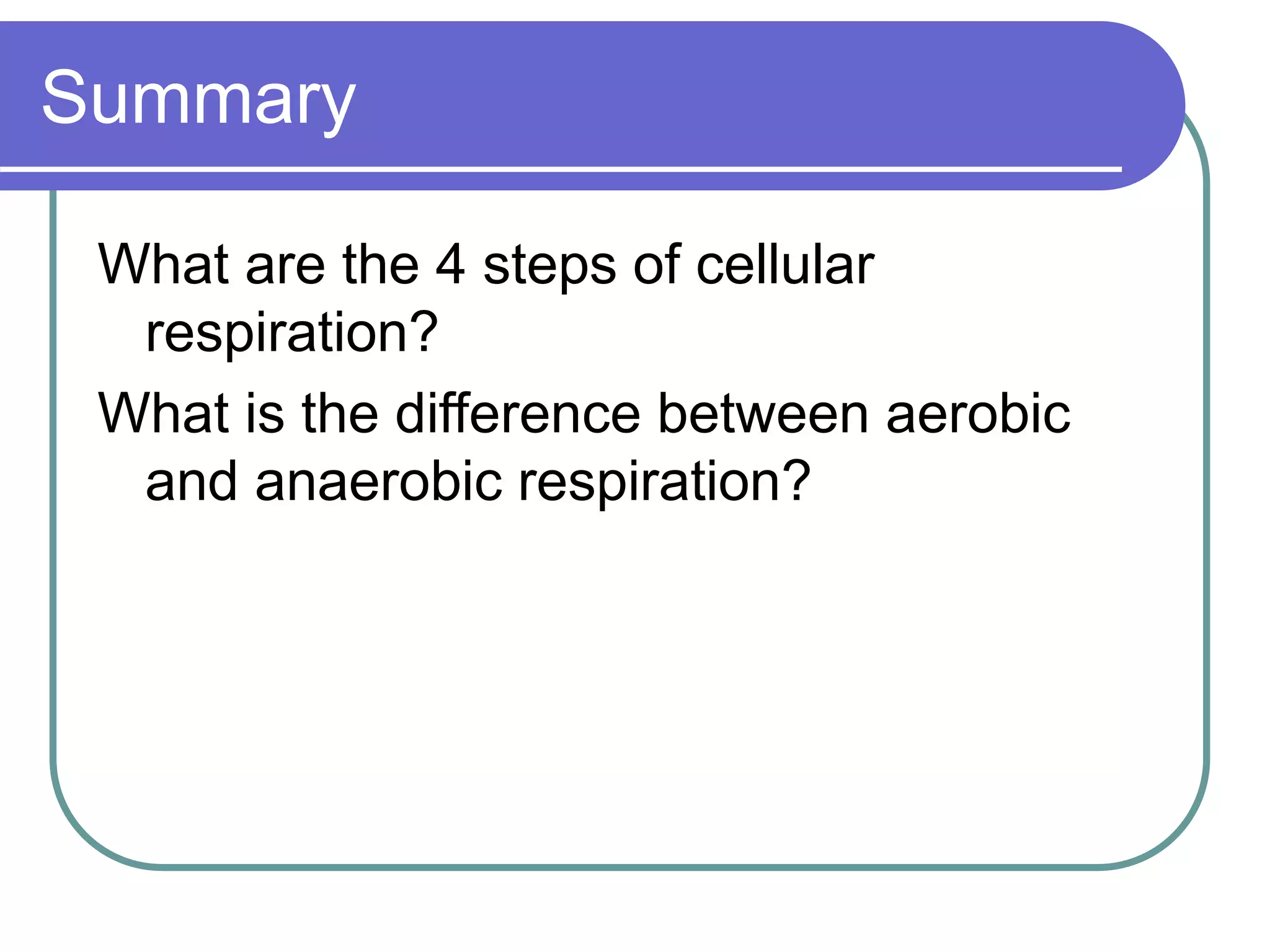 cellular_respiration.ppt