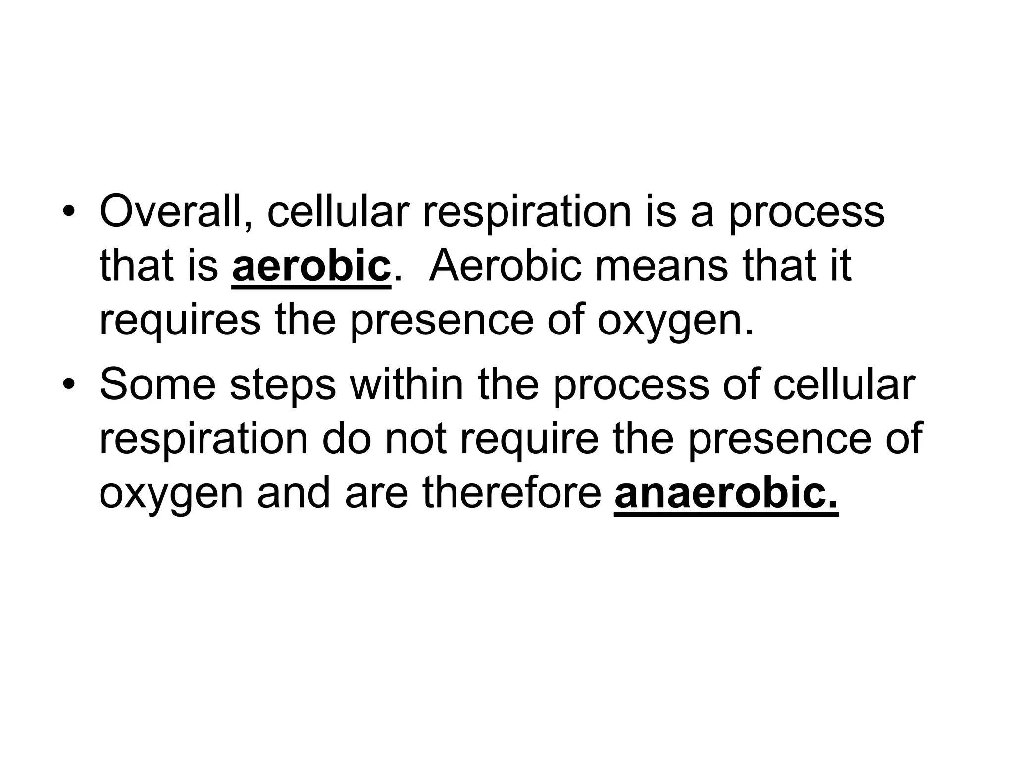 Cellular_Respiration.ppt