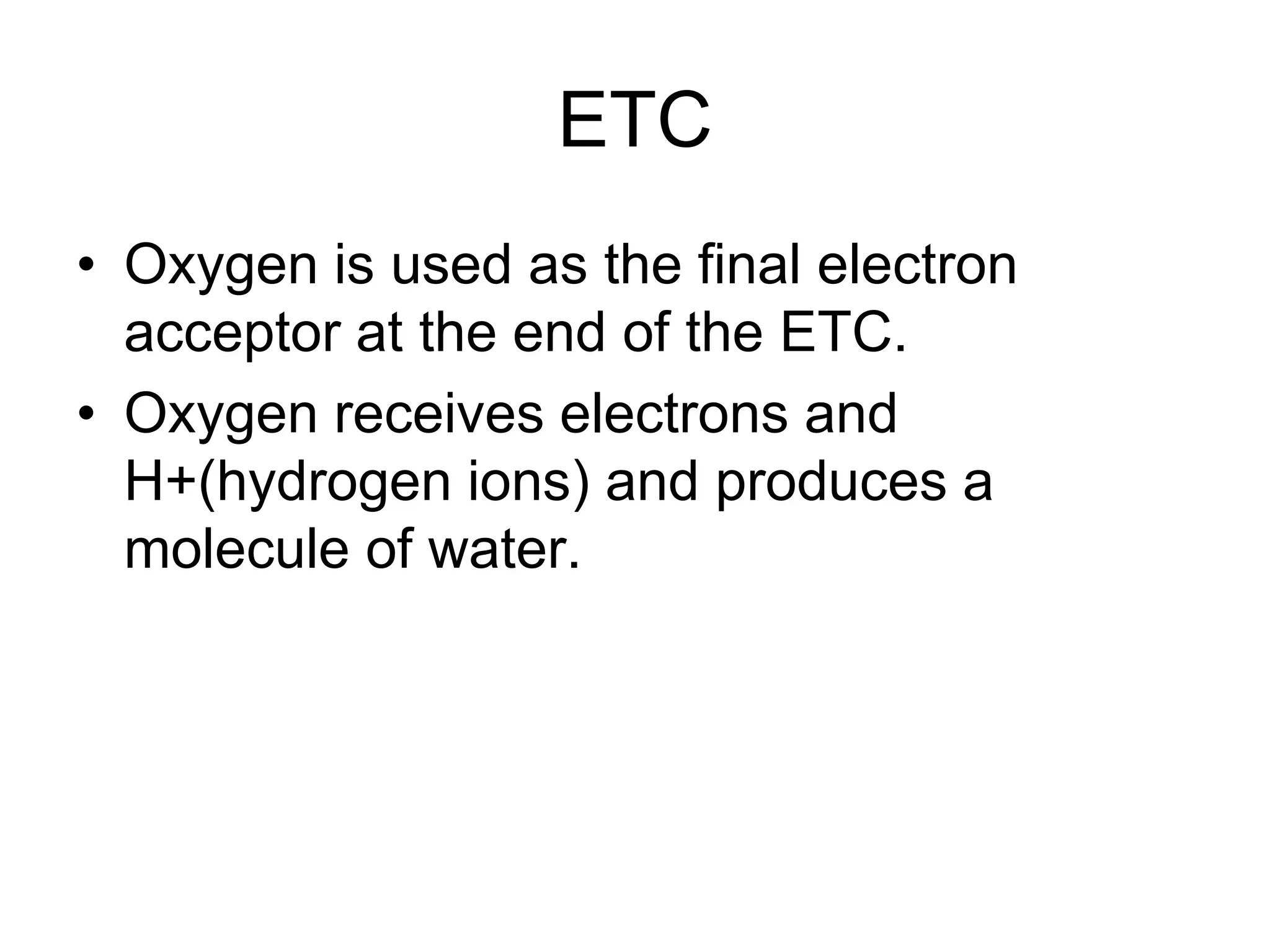 Cellular_Respiration.ppt