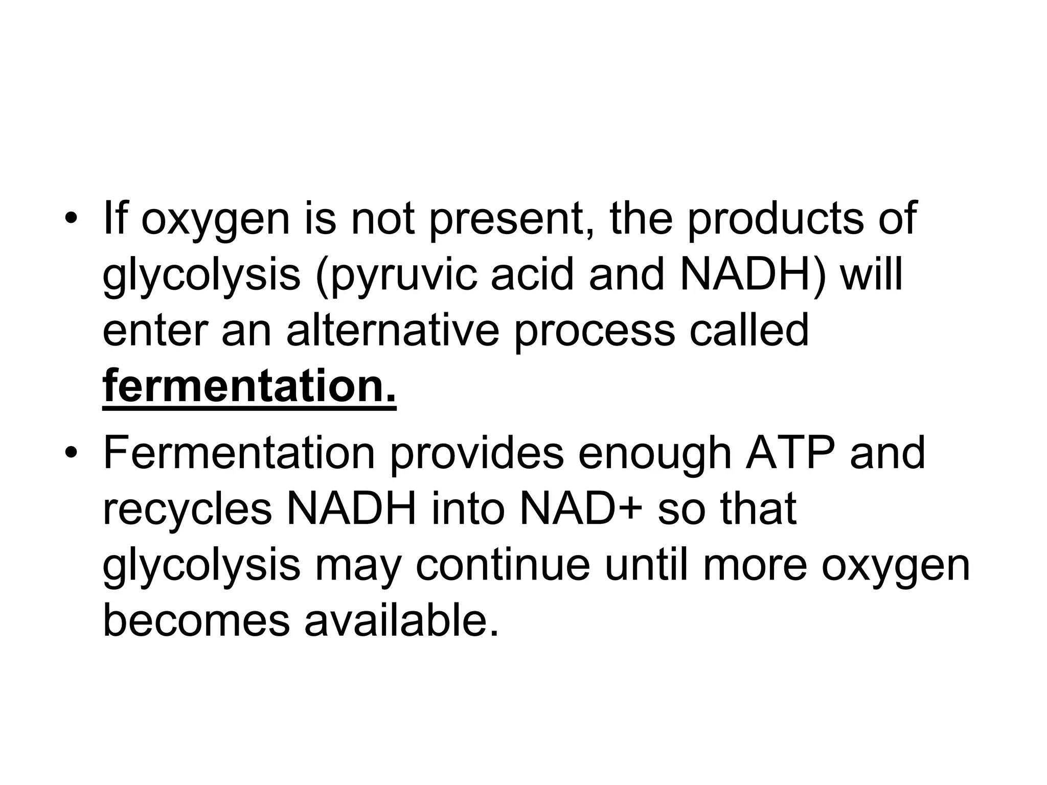Cellular_Respiration.ppt