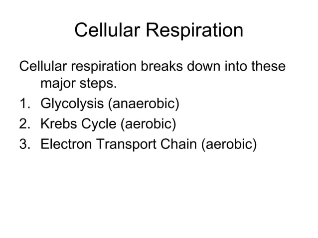 Cellular_Respiration.ppt