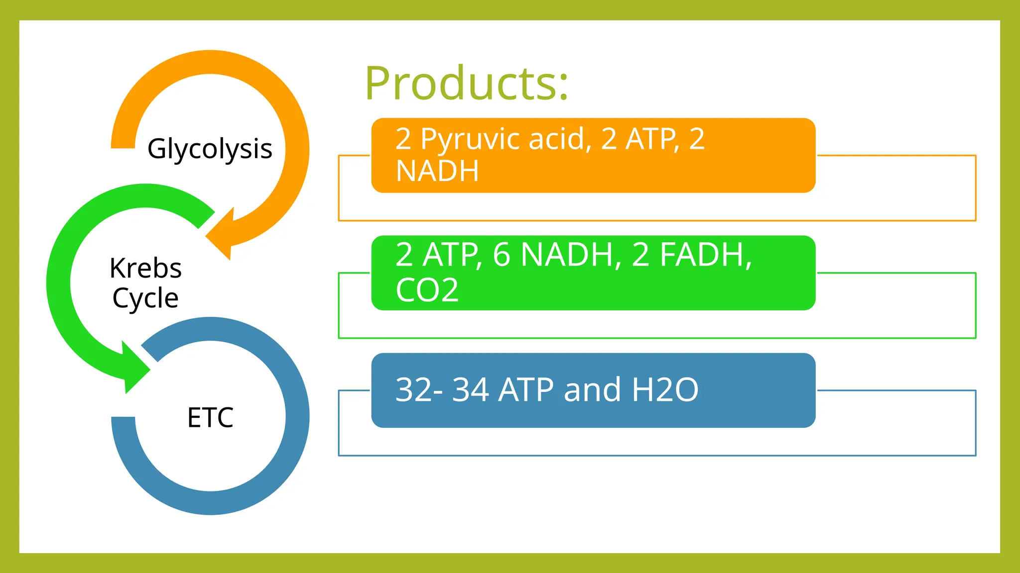 Types of Cellular Respiration, Biochemistry | PPTX