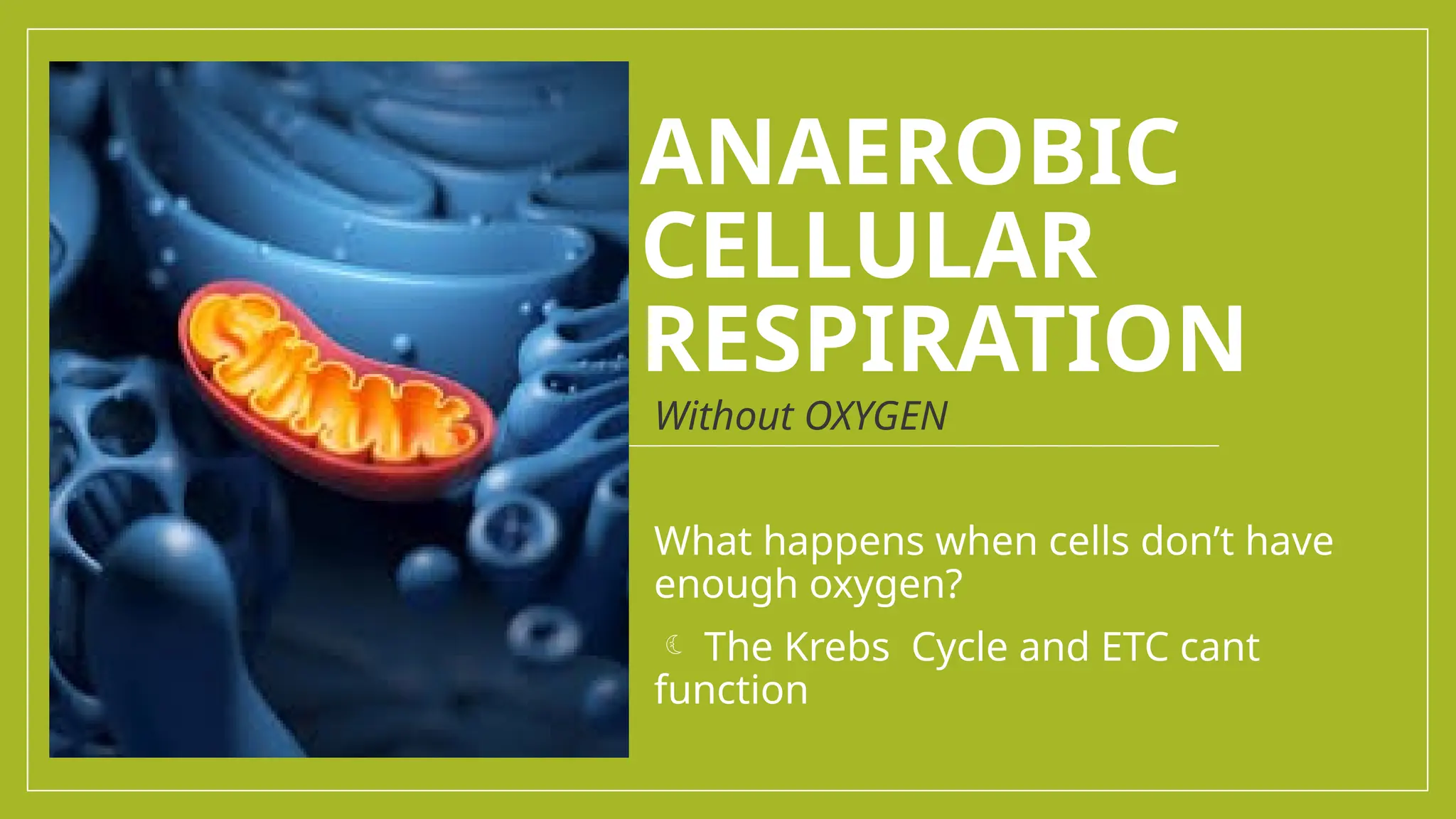 Types of Cellular Respiration, Biochemistry | PPTX