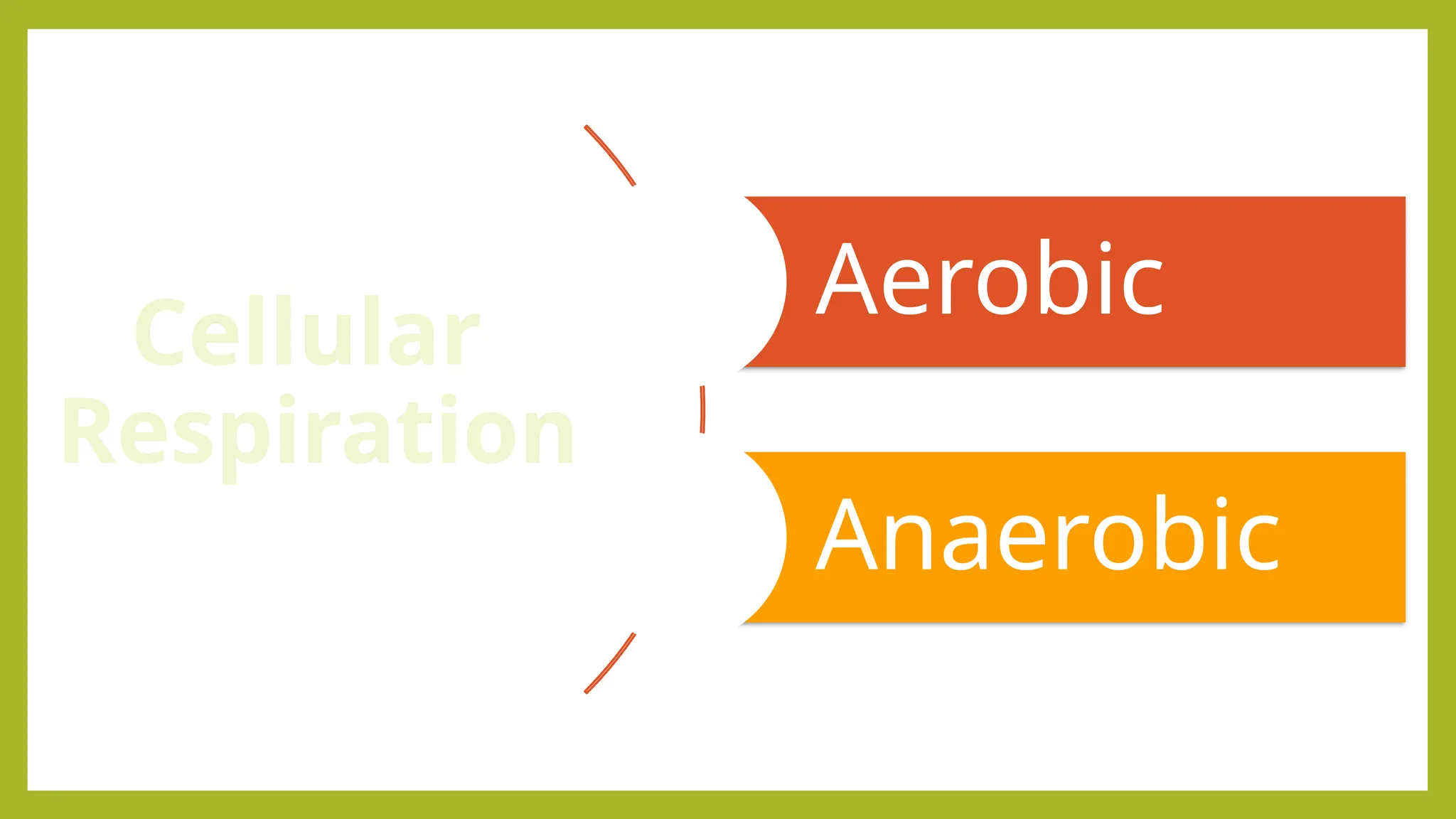 Types of Cellular Respiration, Biochemistry | PPTX