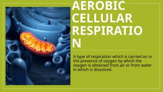 Types of Cellular Respiration, Biochemistry | PPTX