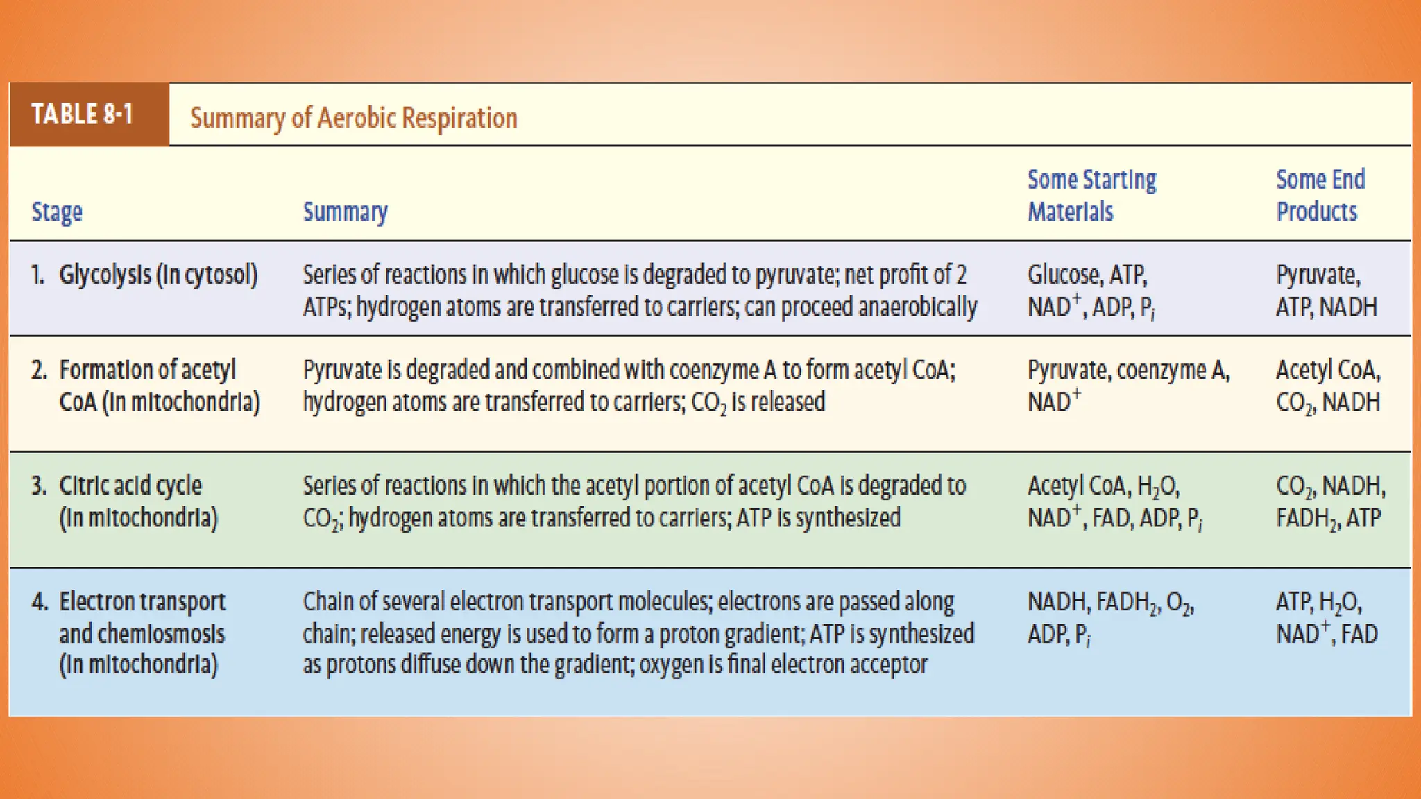 Cellular respiration for High School, Biology | PPTX