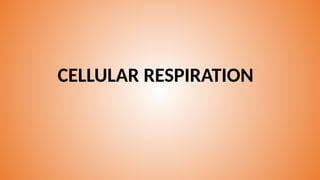 Cellular respiration for High School, Biology | PPTX