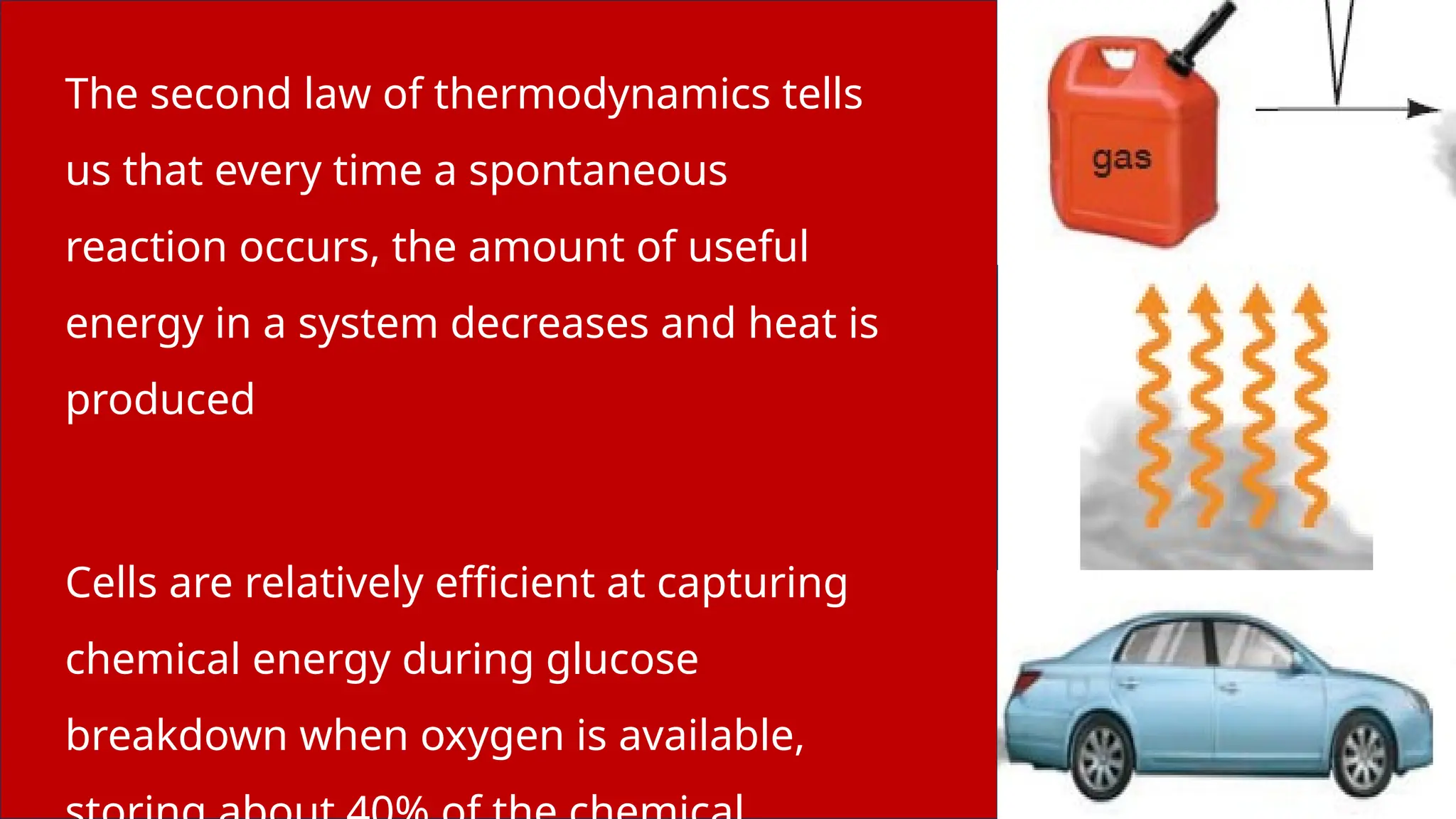 Cellular respiration introduction 10grade.pptx