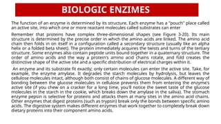 Cellular respiration introduction 10grade.pptx