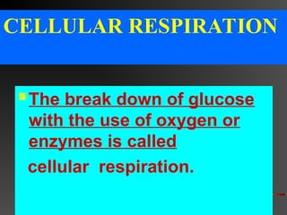 Cellular respiration .ppt