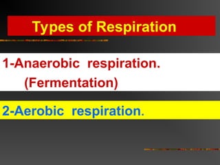 Cellular respiration .ppt