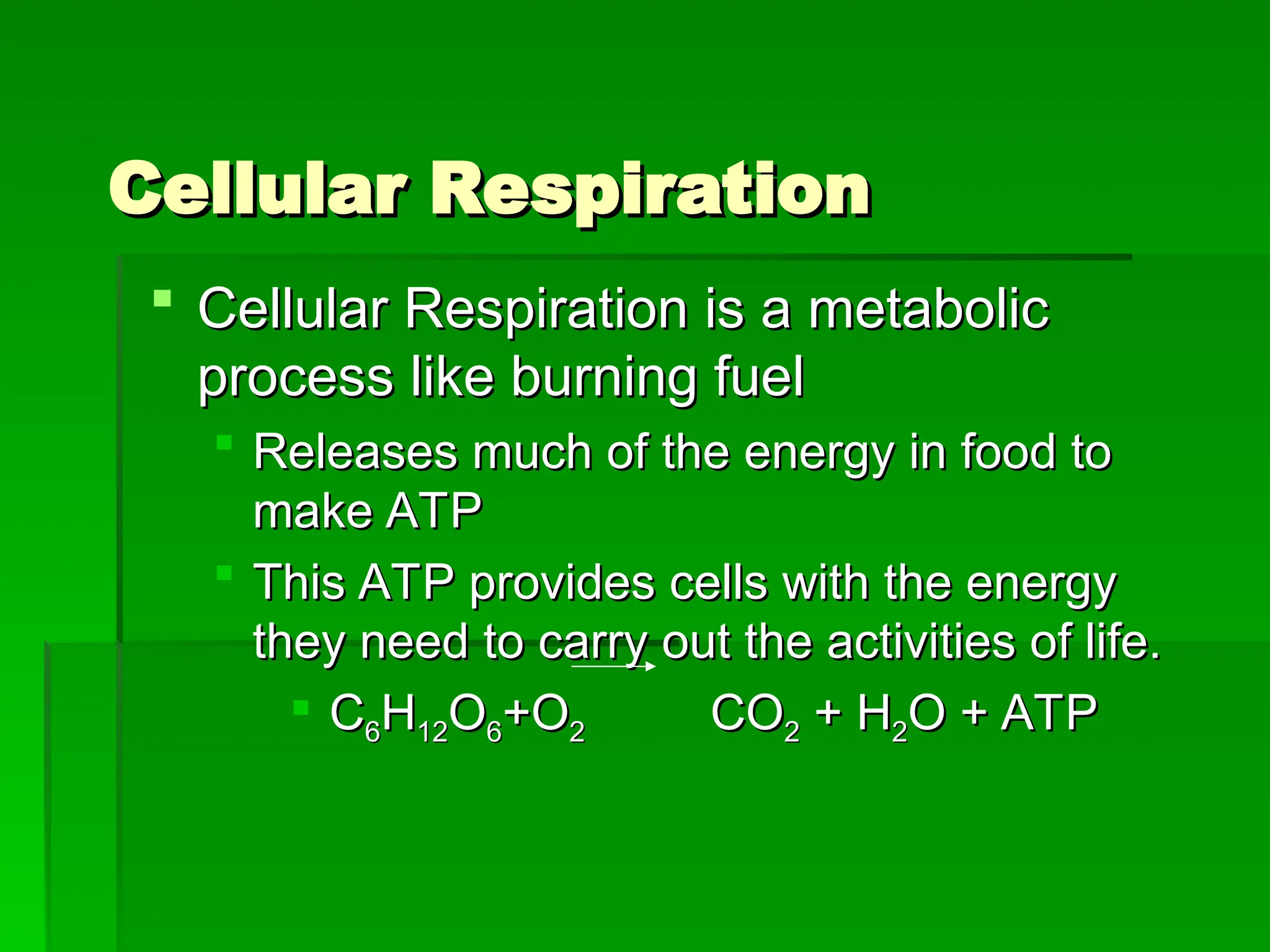 Cellular_Respiration: Glycolysis, Kreb Cycle, ETC | PPT