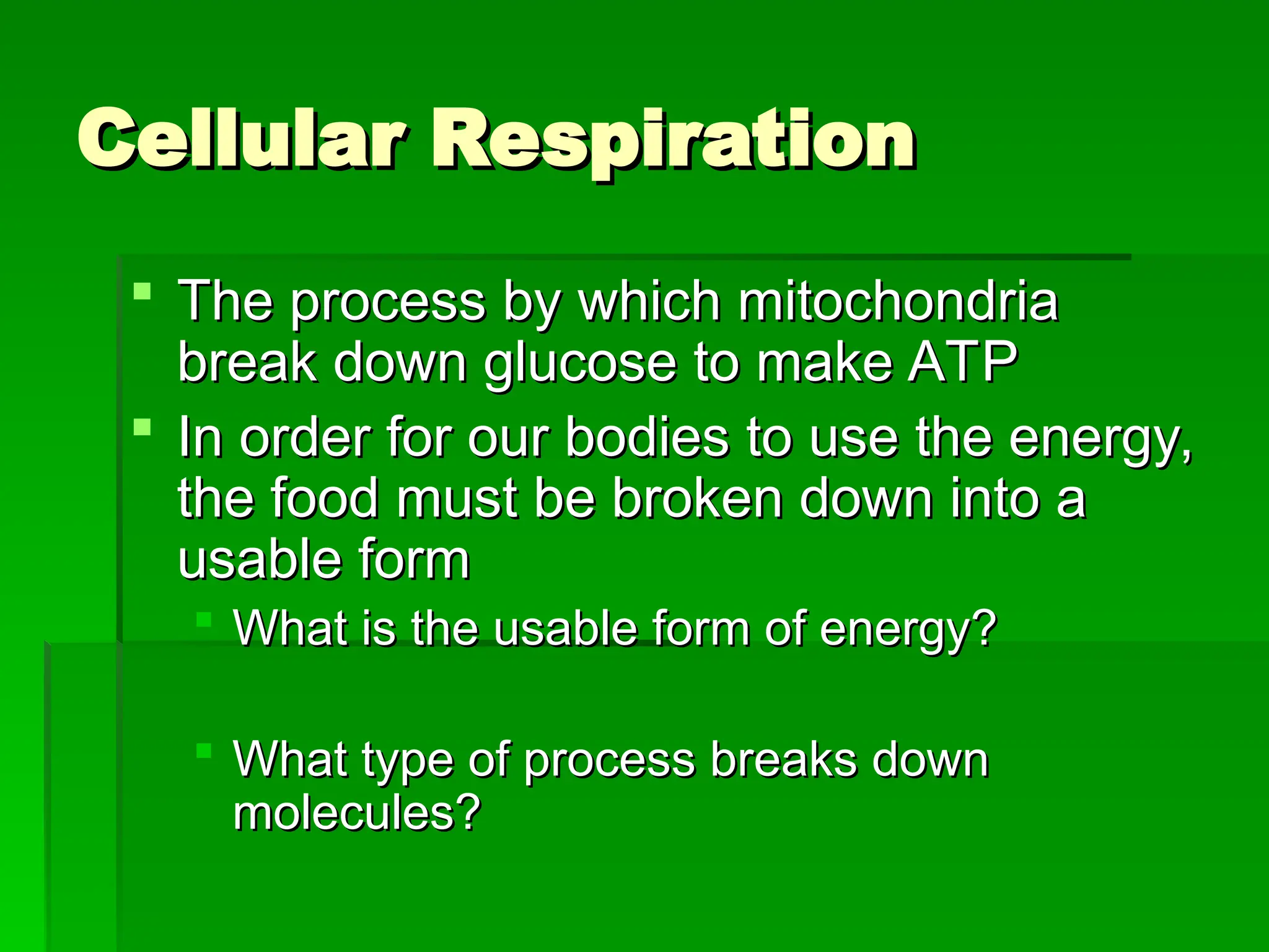 Cellular_Respiration: Glycolysis, Kreb Cycle, ETC | PPT