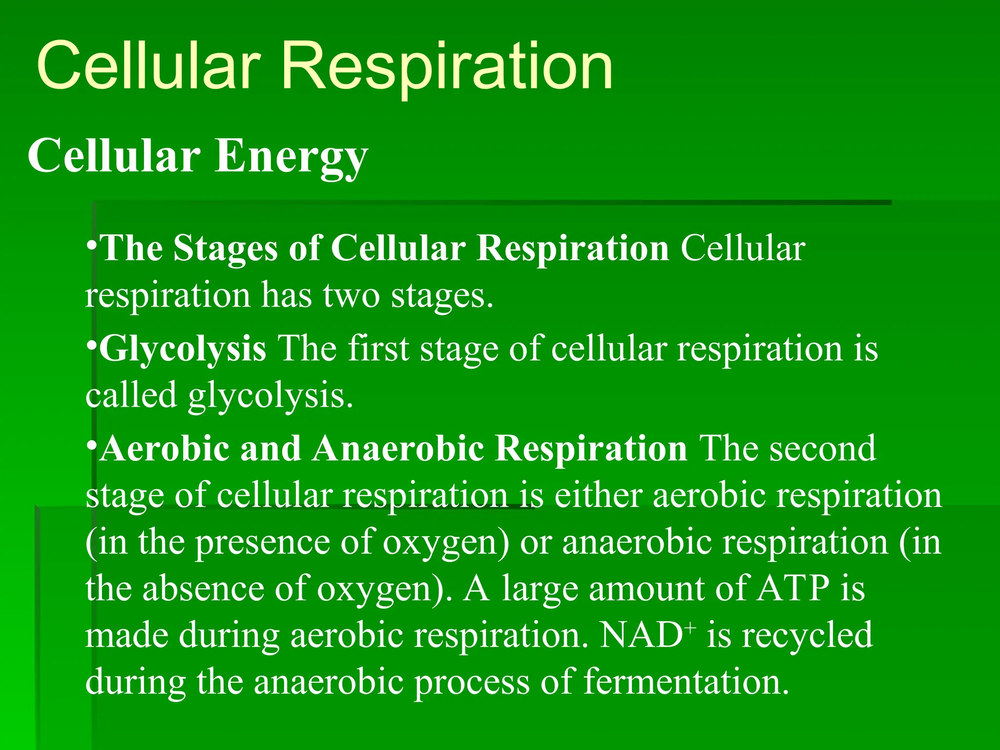 Cellular_Respiration: Glycolysis, Kreb Cycle, ETC | PPT