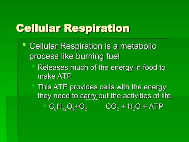 Cellular_Respiration: Glycolysis, Kreb Cycle, ETC | PPT