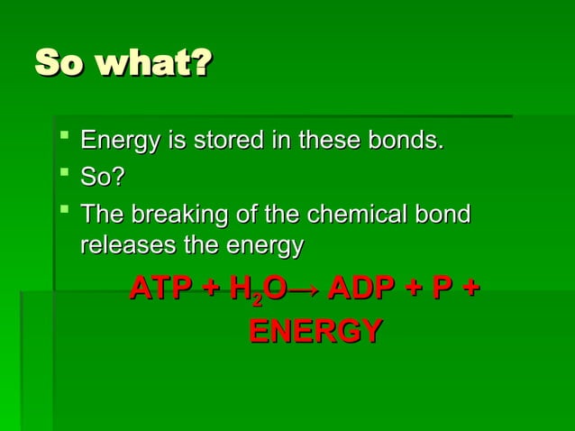 Cellular_Respiration: Glycolysis, Kreb Cycle, ETC | PPT