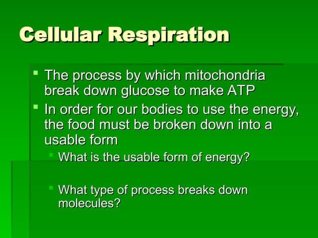 Cellular_Respiration: Glycolysis, Kreb Cycle, ETC | PPT