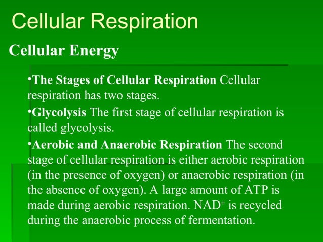 Cellular_Respiration: Glycolysis, Kreb Cycle, ETC | PPT
