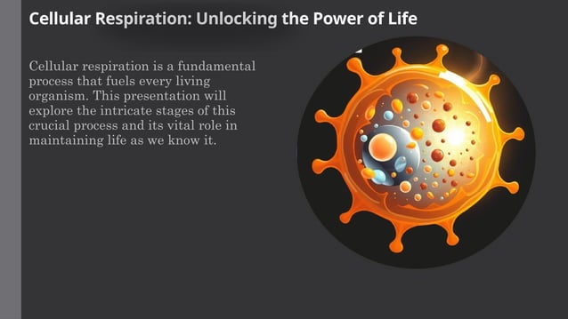 Cellular Respiration , it's types and stages of cellular respiration | PPT