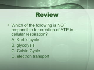 Cellular_Respiration.ppt................. | PPT