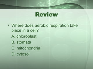 Cellular_Respiration.ppt................. | PPT