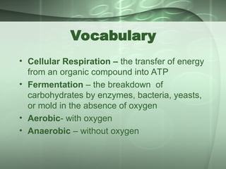 Cellular_Respiration.ppt................. | PPT