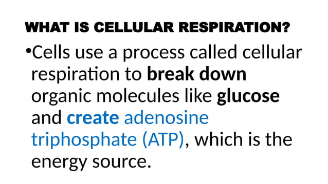 SCIENCE 9 QUARTER 1 BIOLOGY CELLULAR RESPIRATION.pptx