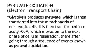SCIENCE 9 QUARTER 1 BIOLOGY CELLULAR RESPIRATION.pptx