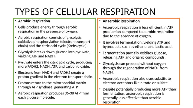 SCIENCE 9 QUARTER 1 BIOLOGY CELLULAR RESPIRATION.pptx