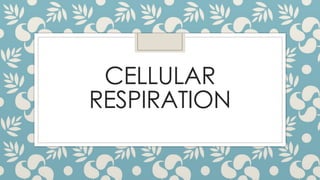 Cellular respiration. Main types of respiration | PPTX