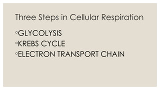 Cellular respiration. Main types of respiration | PPTX