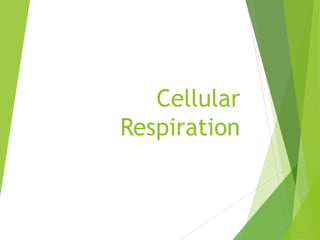Cellular Respiration: a brief introduction for nurses | PPT