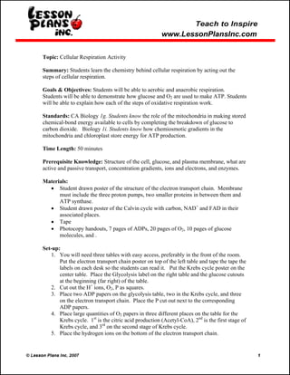 Cellular respiration activity (1) | PDF | Chemistry | Science