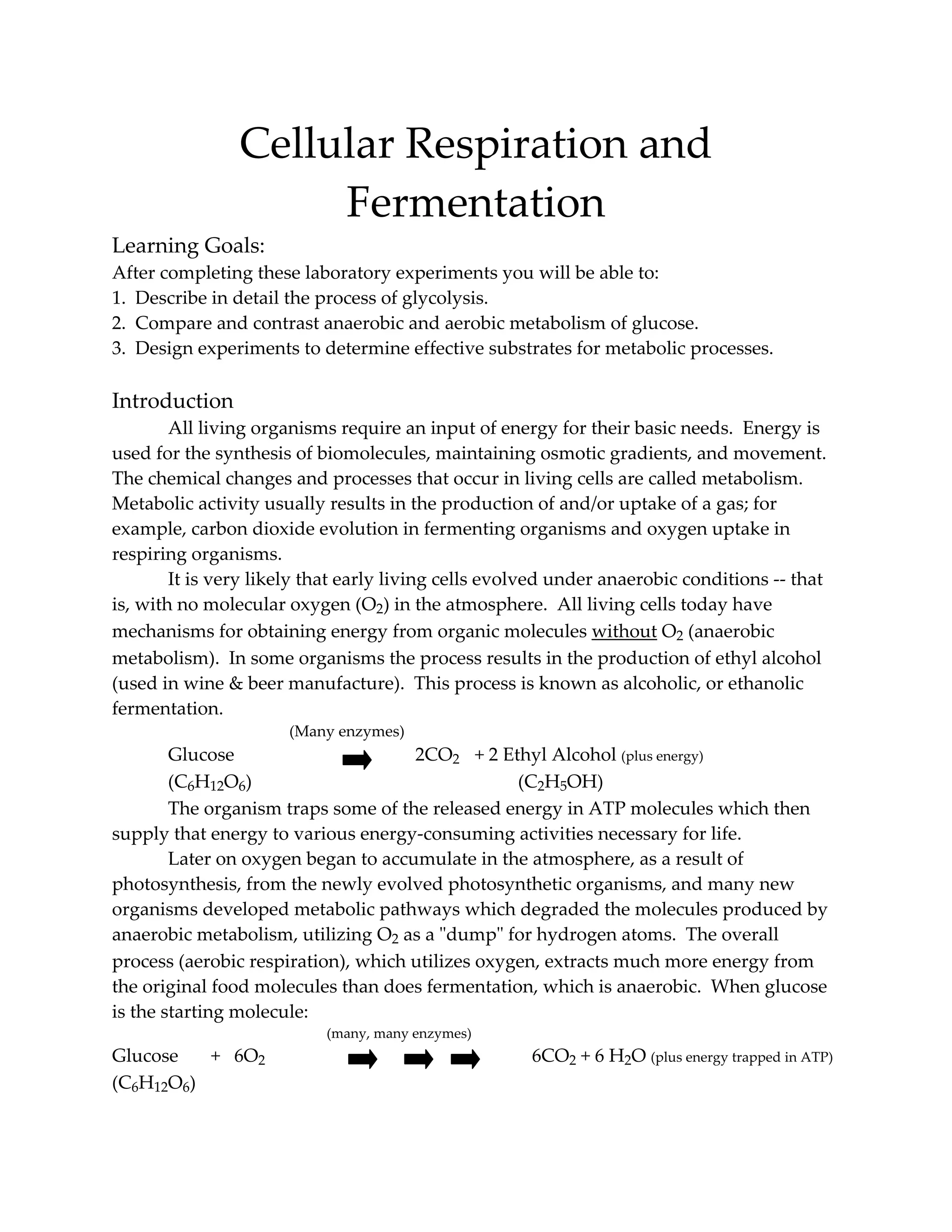 Cellular respiration and fermentation | PDF