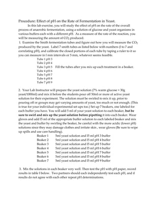 Cellular respiration and fermentation | PDF
