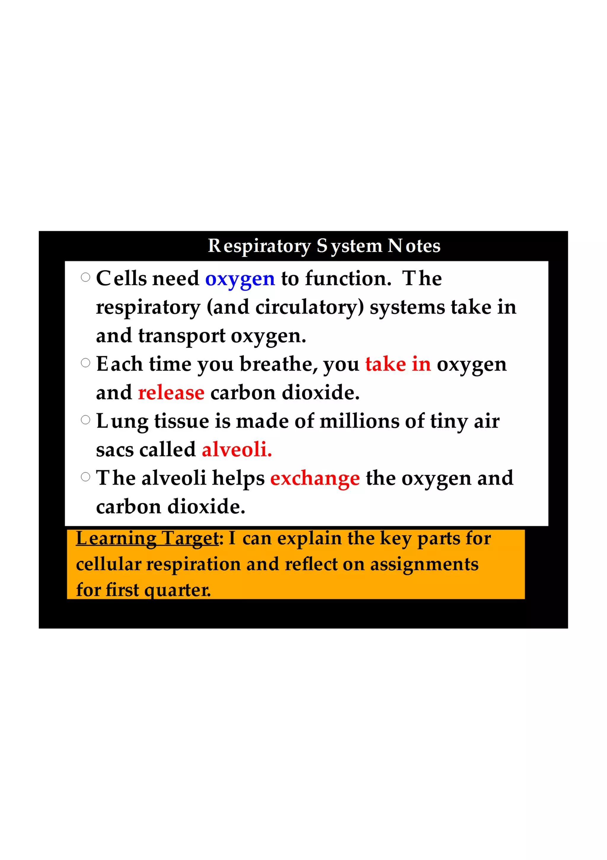 Cellular Respiration and Assignment Reflection | PDF
