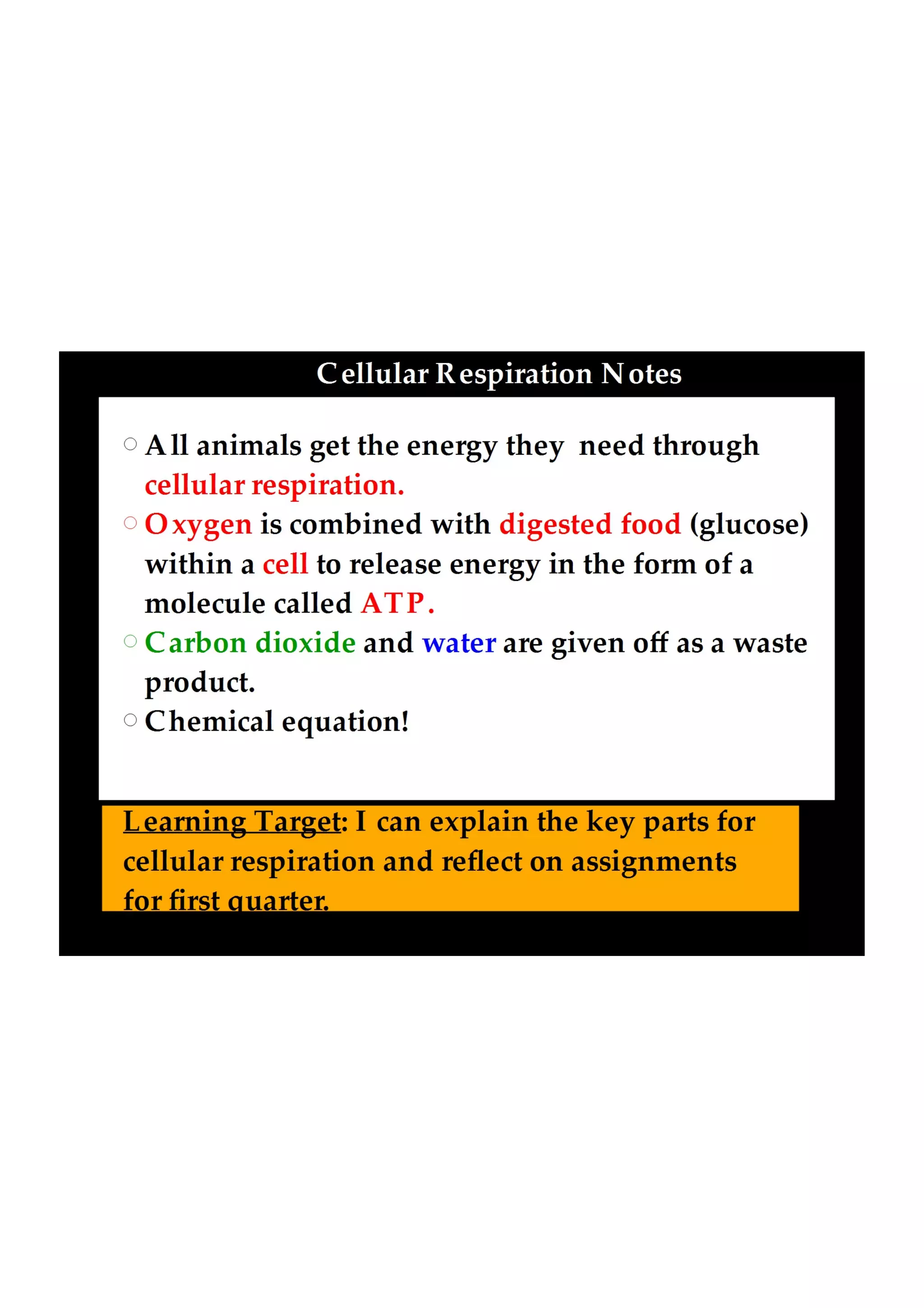 Cellular Respiration and Assignment Reflection | PDF