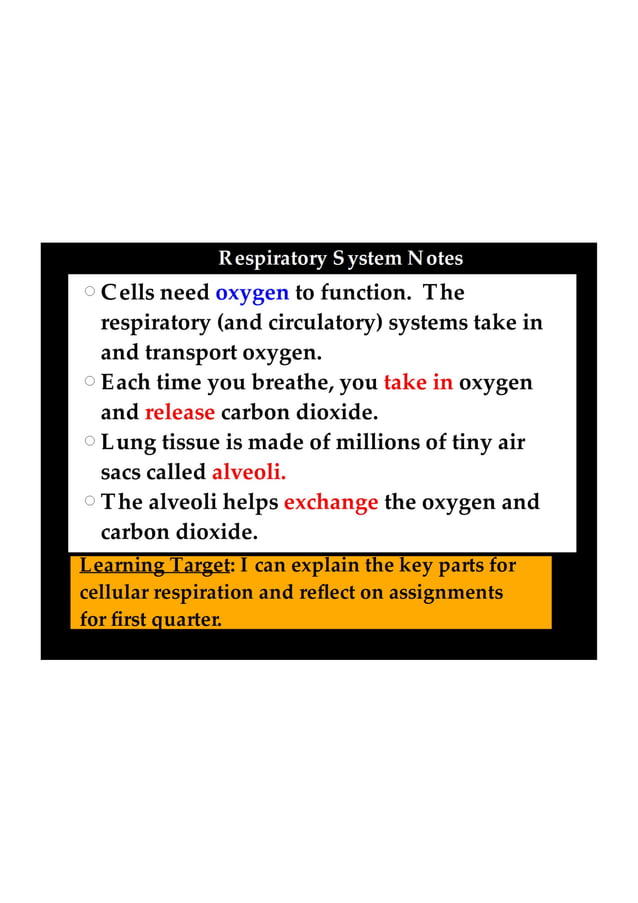 Cellular Respiration and Assignment Reflection | PDF
