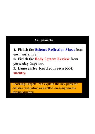 Cellular Respiration and Assignment Reflection | PDF