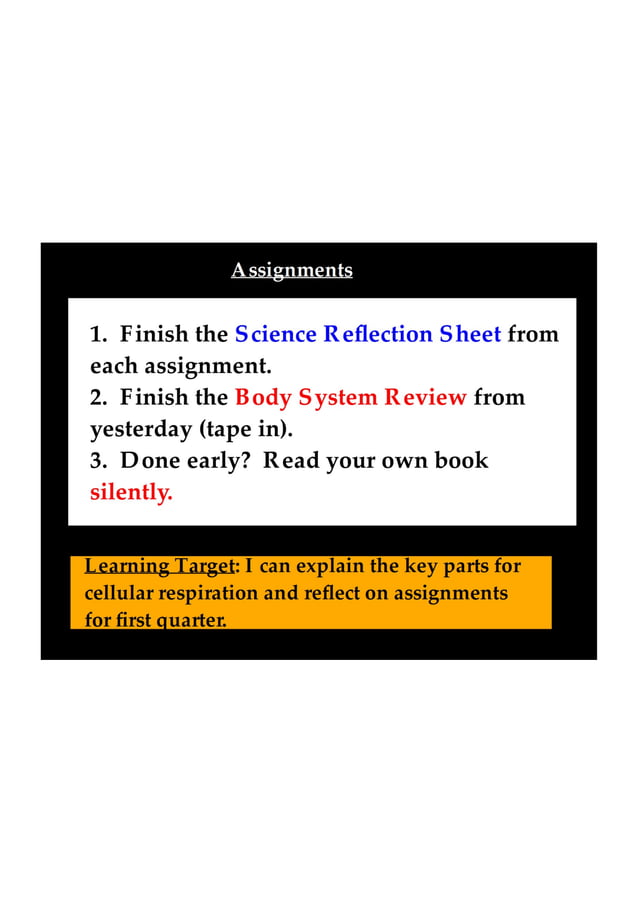 Cellular Respiration and Assignment Reflection | PDF