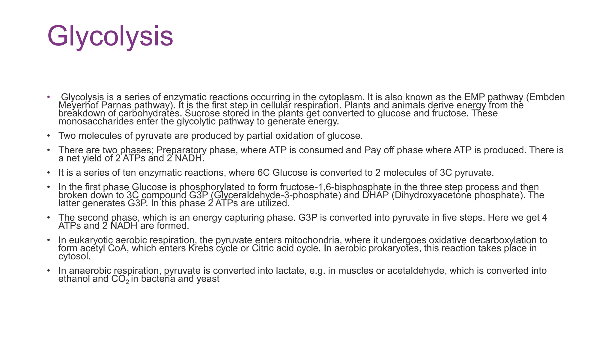 cellular respiration and ATP stnthesis update .pptx