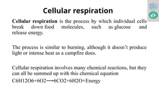 Cellular respiration and Biological oxidation.pptx
