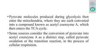 Cellular respiration and Biological oxidation.pptx