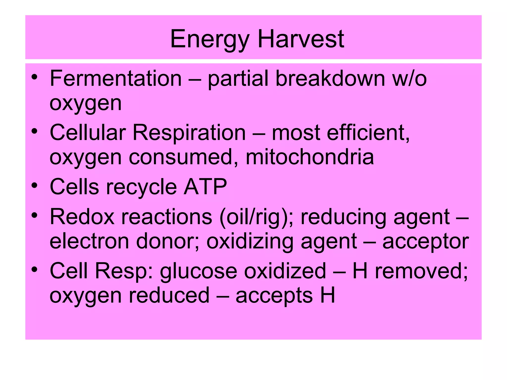 Cellular Respiration Bio2 | PPT