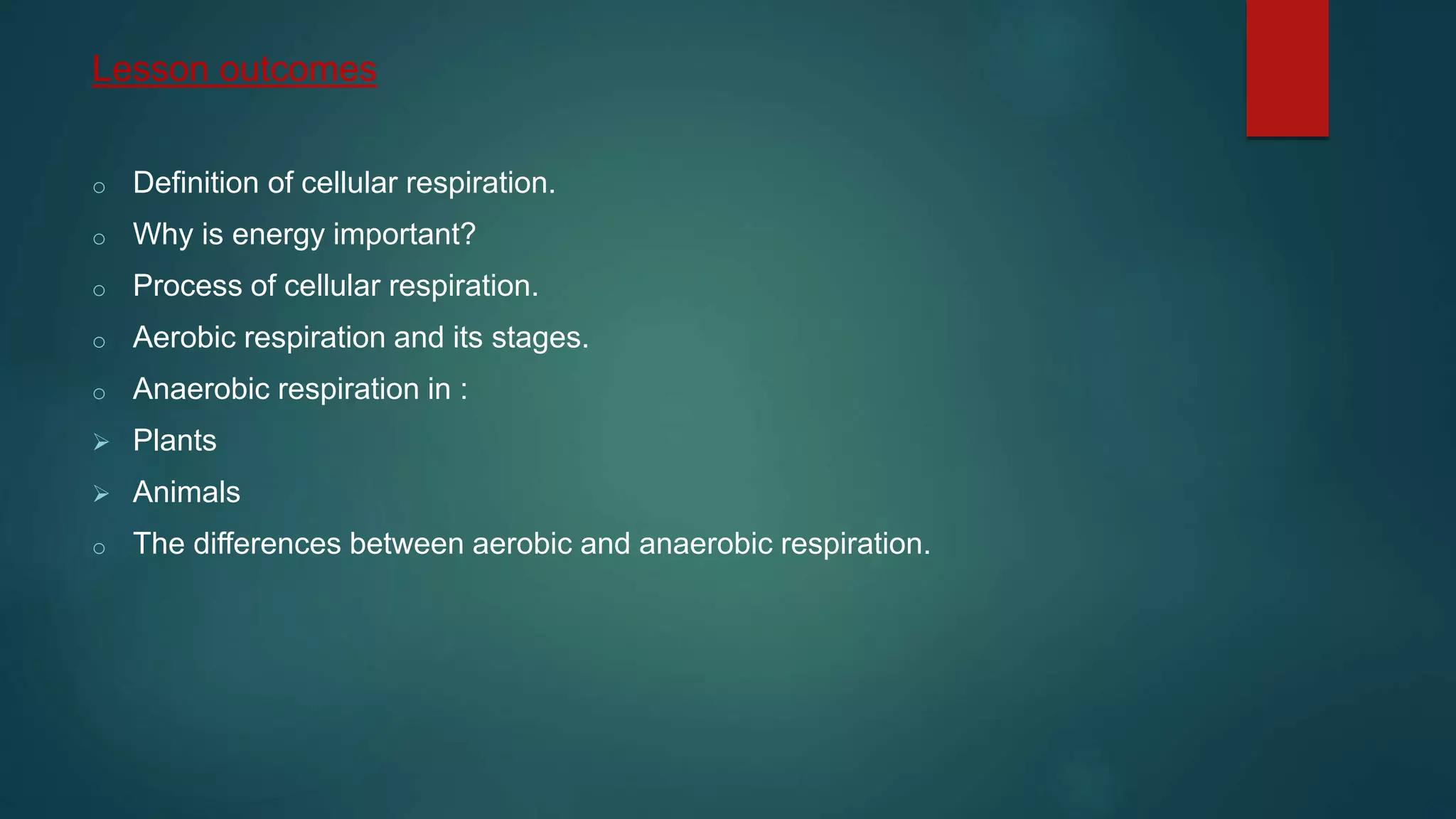 CELLULAR RESPIRATION copy.pptx