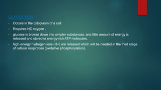 CELLULAR RESPIRATION copy.pptx
