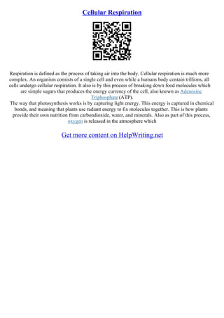 Cellular Respiration Essay | PDF