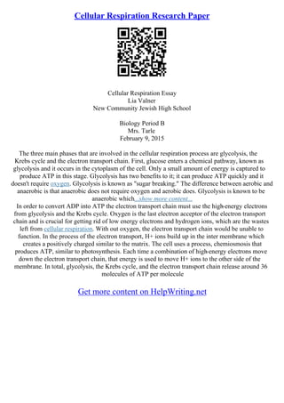 Cellular Respiration Essay | PDF | Lung and Respiratory Health ...