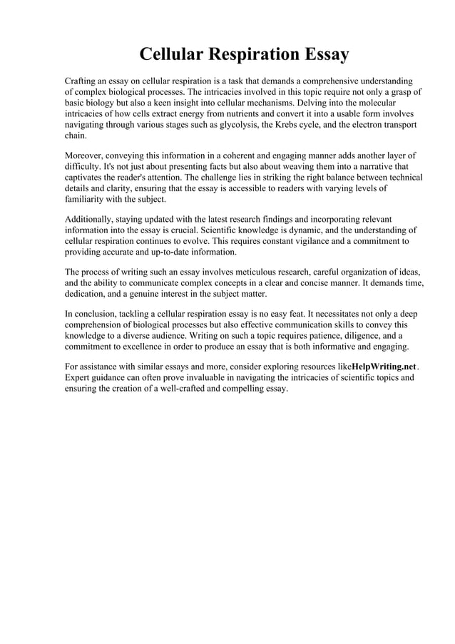 Cellular Respiration Essay. Chapter 9: Photosynthesis and Cellular ...
