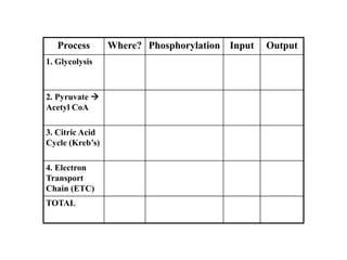 Oxidative Phosphorylation Inputs And Outputs